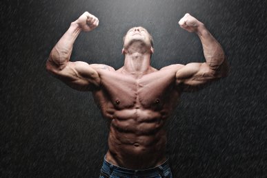 Kwax-Diät - Sportnahrung Kwax Fitness Ernährung, Bodybuilding und ...